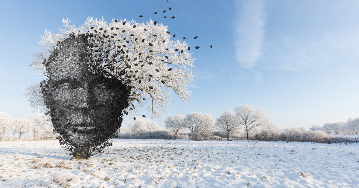 Supporting Mental Health in Winter | Mental Health Training